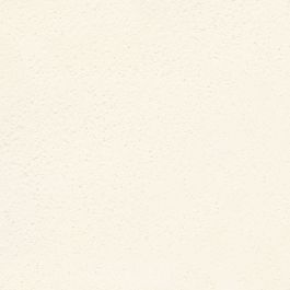 ClayTec Lehmfarbe CLAYFIX Lehm-Anstrich Weiß hell wasserlöslich